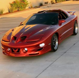 1998-2002 WSX (WSQ Style Modified) Hood for Firebird Formula Trans Am ...