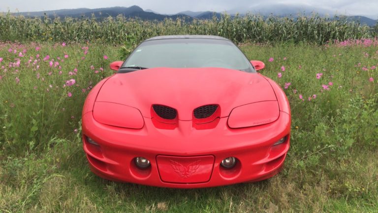 1998-2002 SuperHawk Style Hood for Firebird Formula Trans-Am ...