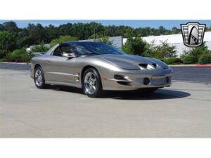 1998-2002 Firehawk Style Hood for Firebird Formula Trans-Am – IROC ...