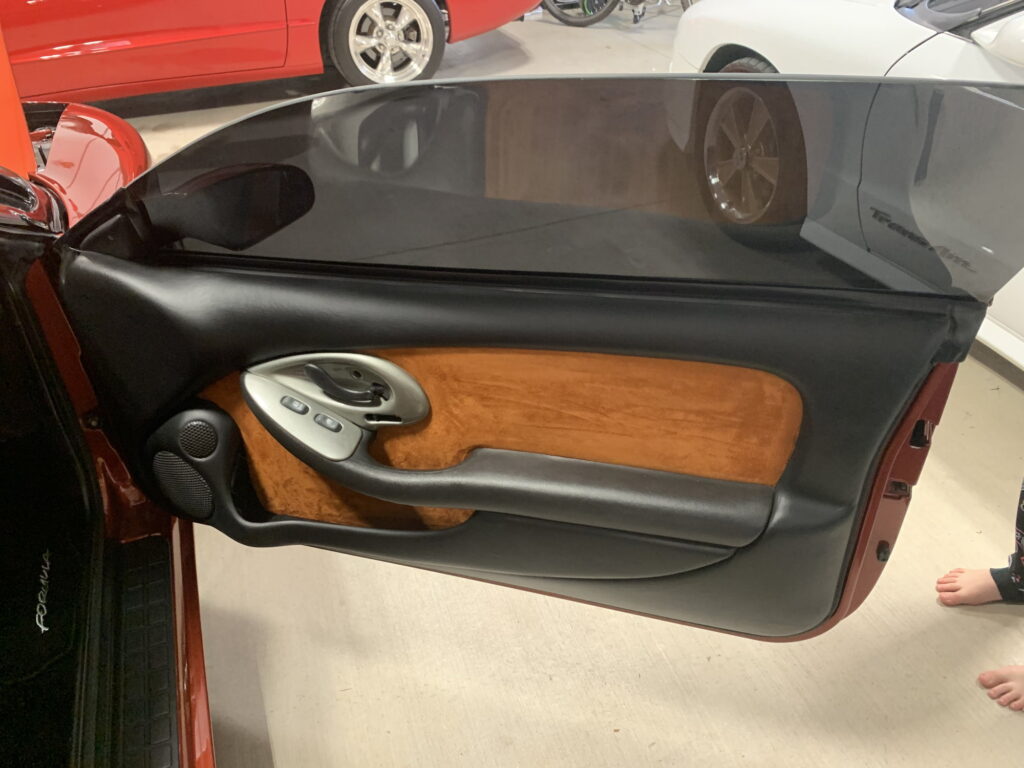 1993-2002 Firebird/Formula/Trans-Am “97-02 OEM Trans-Am Style” Door ...