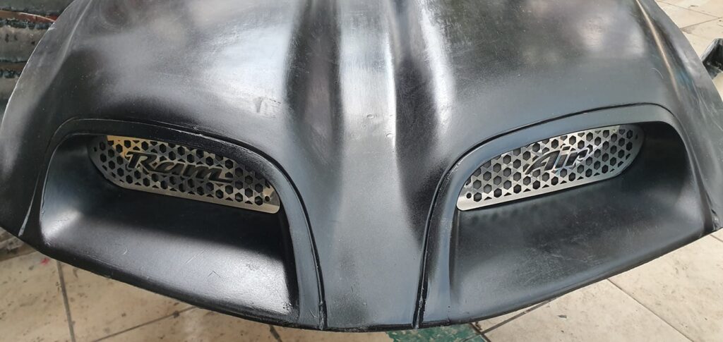 1998-2002 Firebird/Formula/Trans-Am WS6 Style Hood Grill Inserts CUSTOM ...