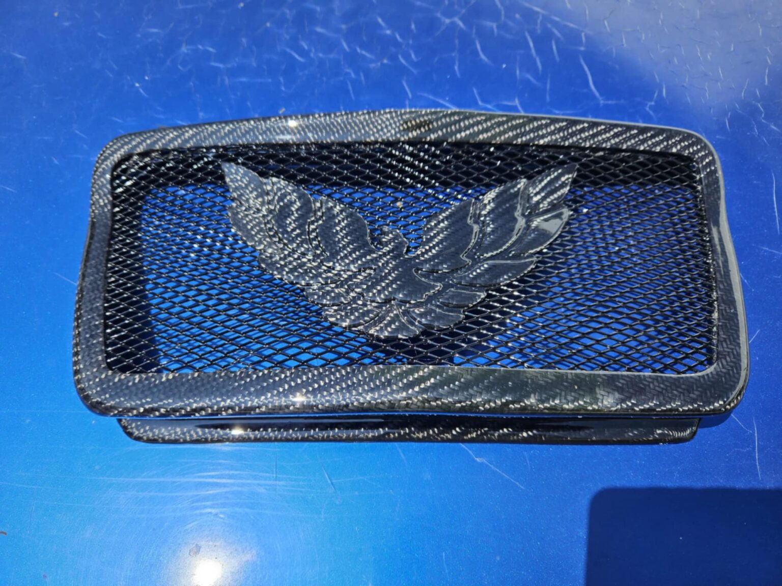 1998-2002 Firebird FLOW-BIRD Front License Plate Cover (CARBON FIBER ...